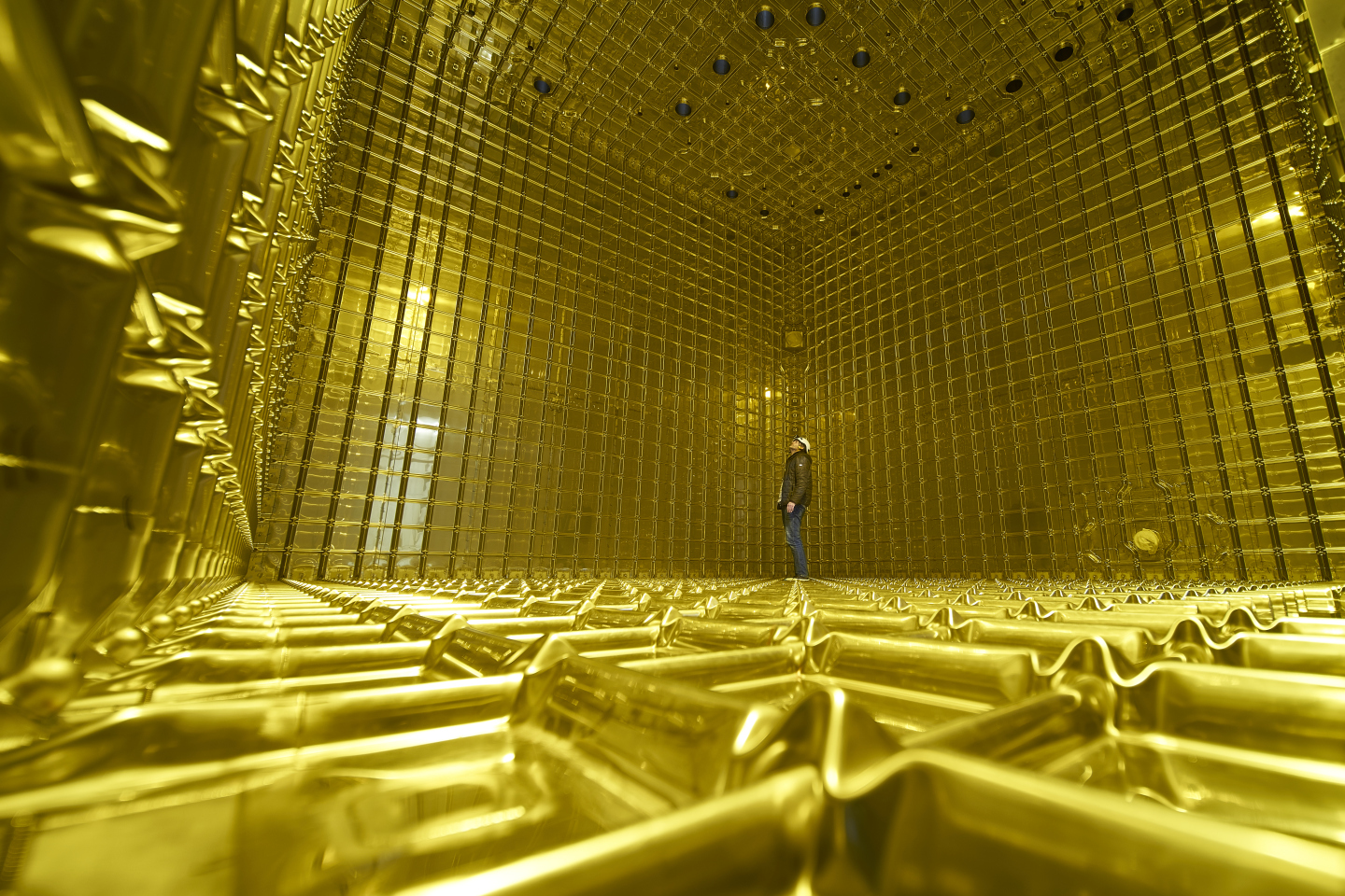 Live: Particle pursuit, a journey of the Deep Underground Neutrino ...